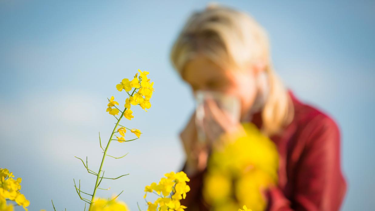A Large Number of People Handle Chronic Pollen Allergy Issues ...